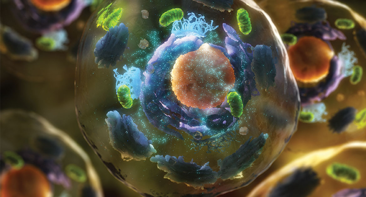 Nourish Your Cells – CellSentials - Usana Health Sciences Organization